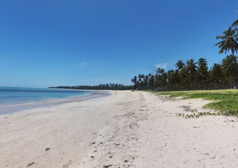 Praia do Patacho: Um Destino Intocado em Alagoas - Destino Ideal