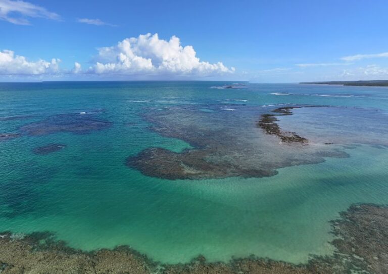 Praia do Patacho: Um Destino Intocado em Alagoas - Destino Ideal
