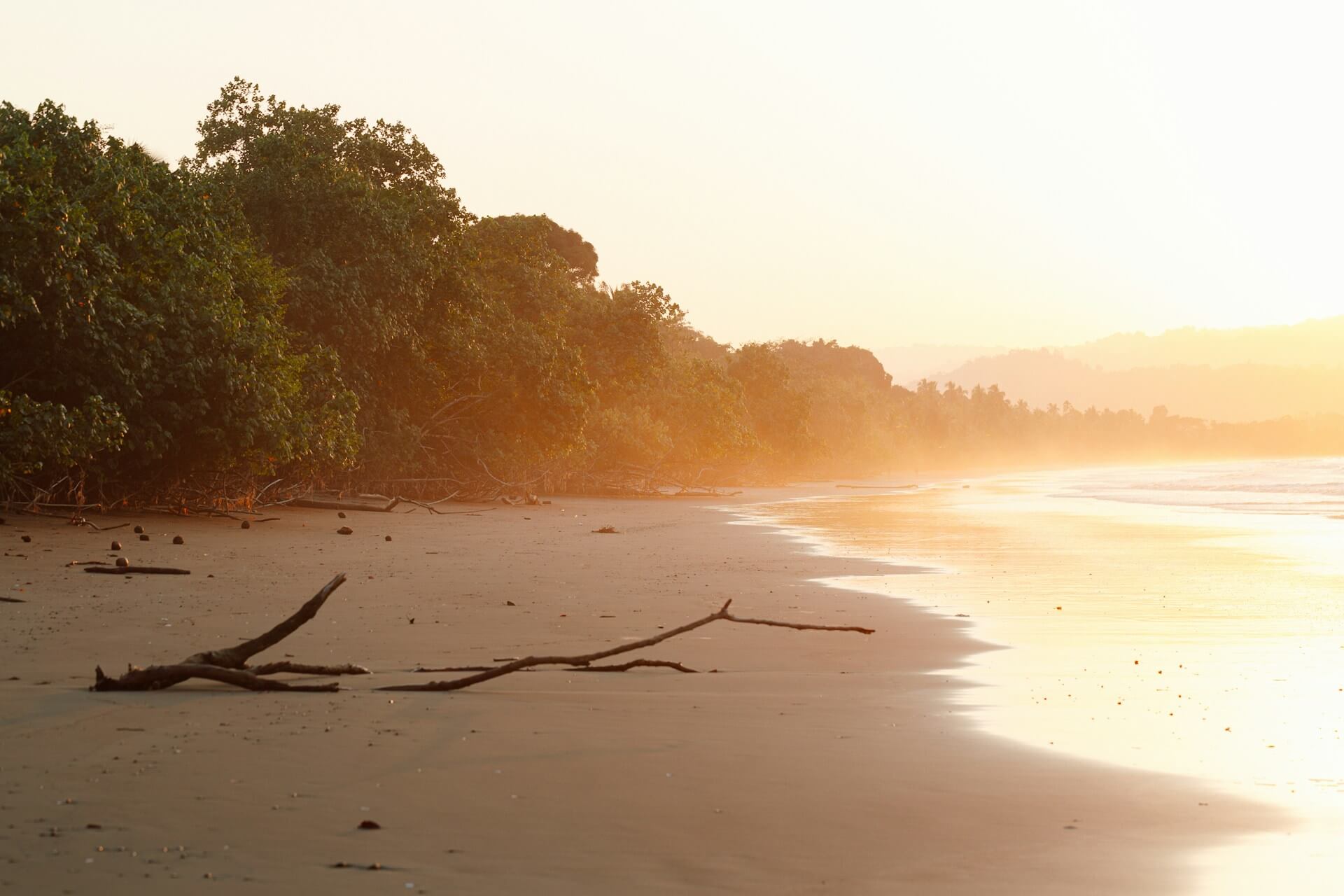 Nuquí, Colômbia: O Paraíso Escondido onde a Selva Encontra o Mar ...